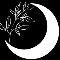 November 2025 Beaver Moon: Cozy Up and Manifest Your Dreams – Witch Way ...